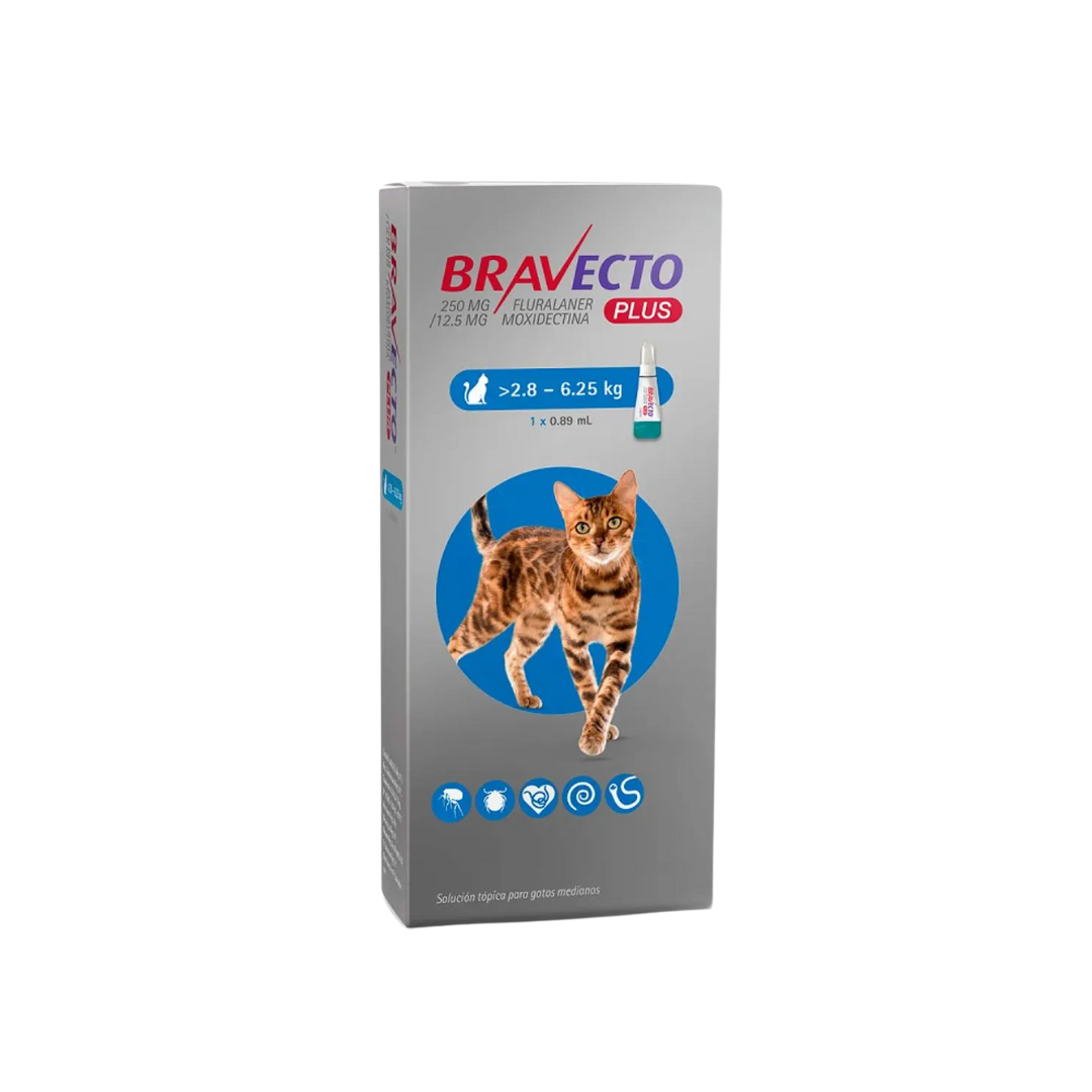 Bravecto plus gato 2,8 a 6,25 kg - Somos Haustiere